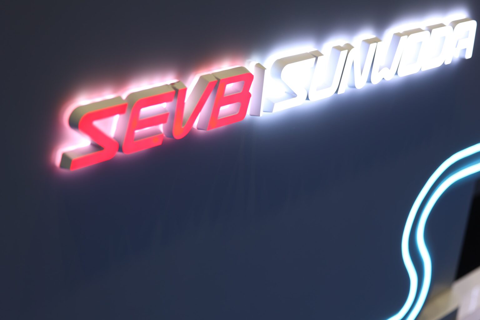 【SEVB】Sunwoda（サンオーダ）のナトリウムイオン電池と全固体電池 | 橋本総研.com